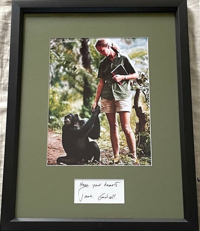 AutographsForSale.com: #1 Place for Authentic Autographed Memorabilia