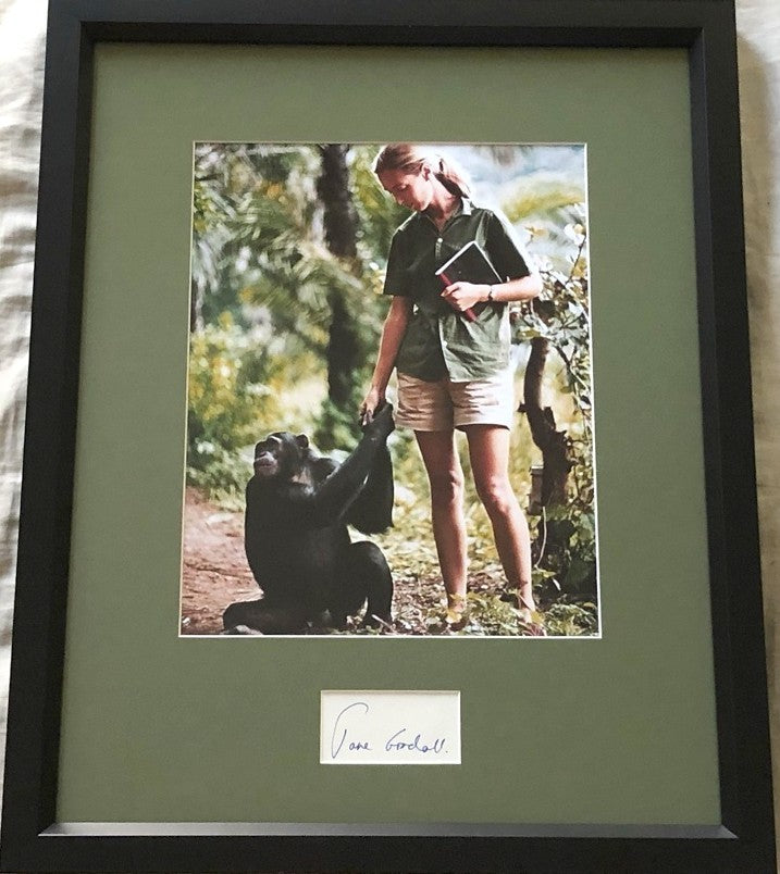 Jane Goodall autograph custom framed with vintage 8x10 photo